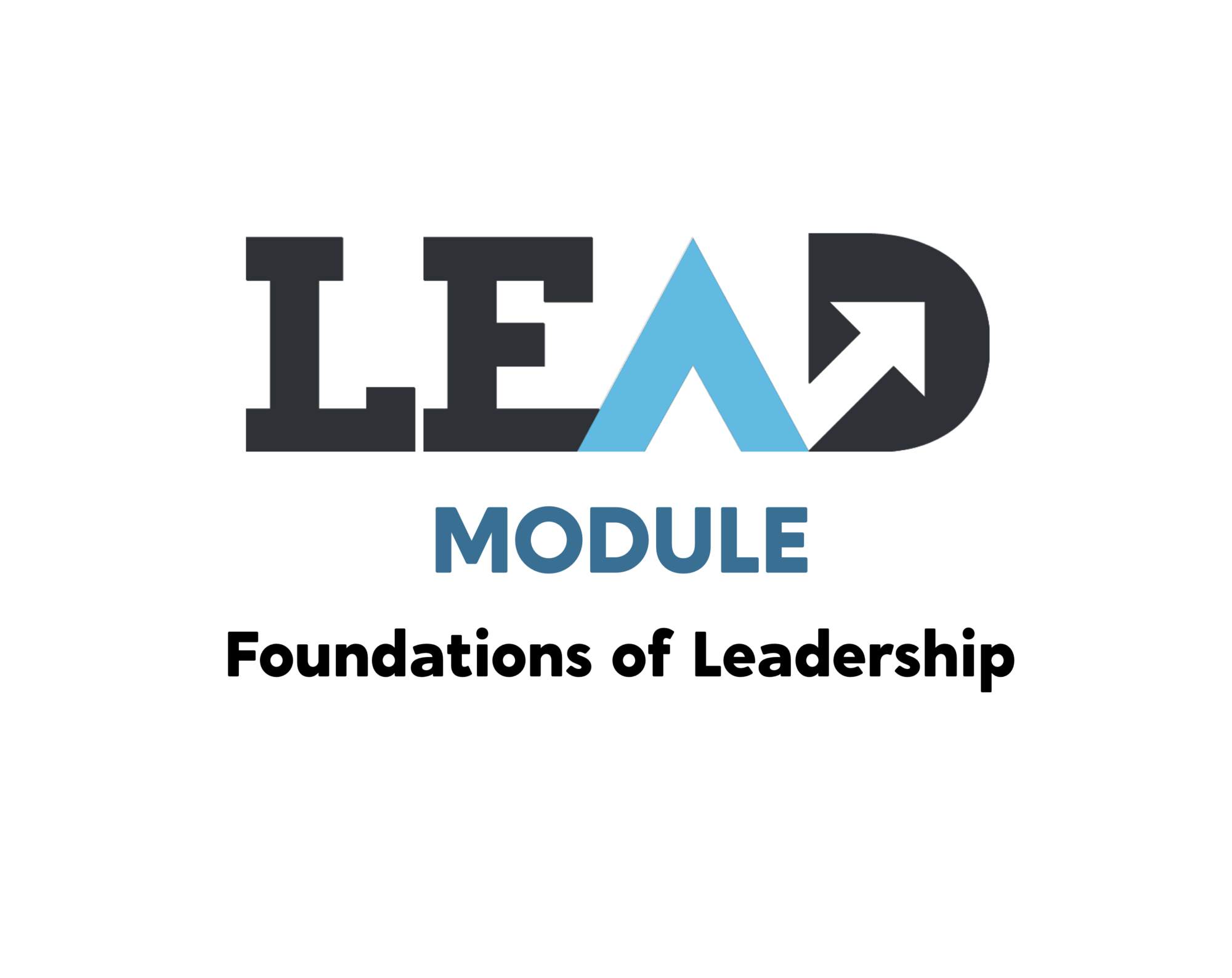 Module | Foundations of Leadership – Purchase – The LEAD Program